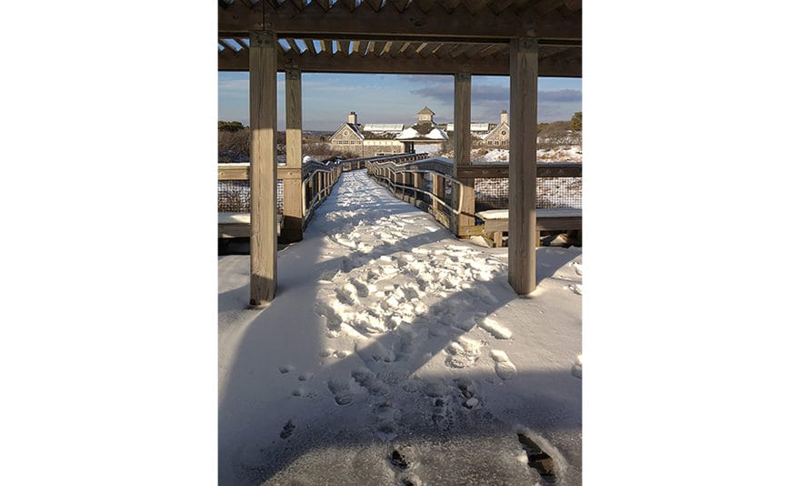 HORSENECK BEACH - Dodson & Flinker - Landscape Architecture and Planning